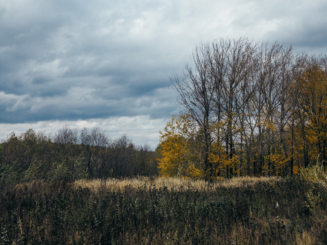 0030 2022 10 04 G1x IMG 5485 — Postimages