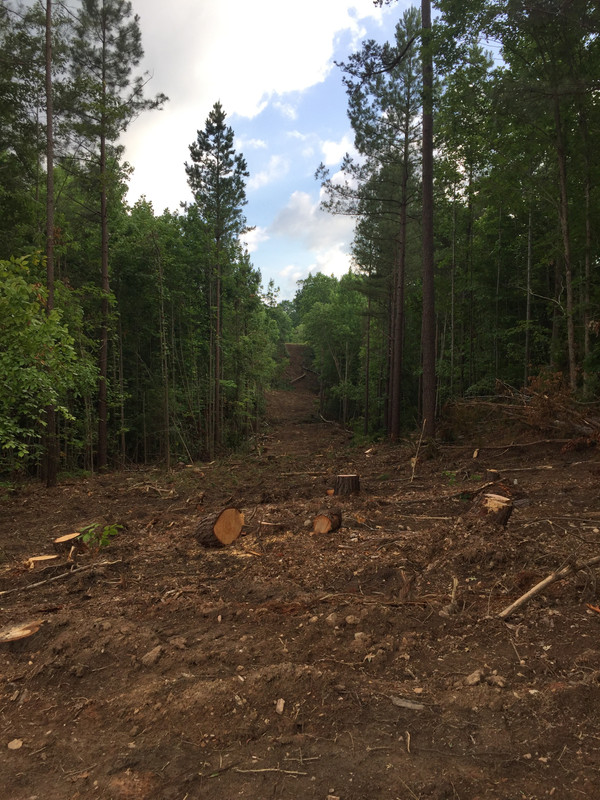 IMG 3091 — Postimages