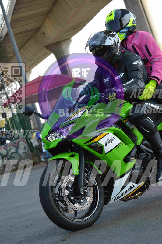 Album — Postimages