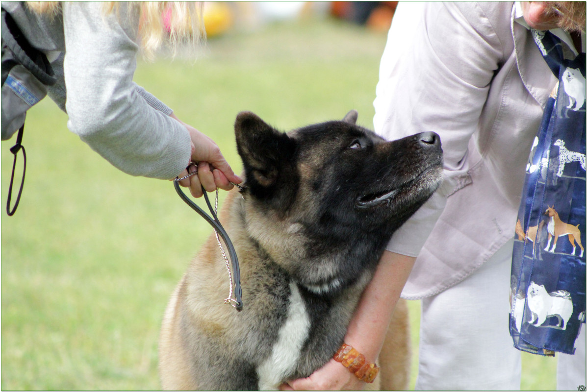 IMG 1600 — Postimages