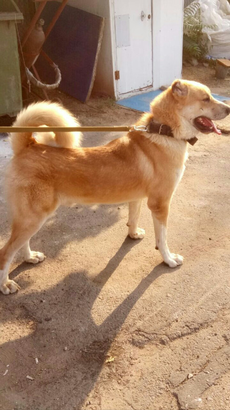 S80830 140344 — Postimages