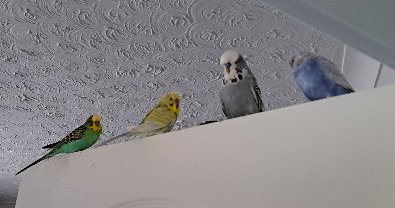 20230218 151346 — Postimages