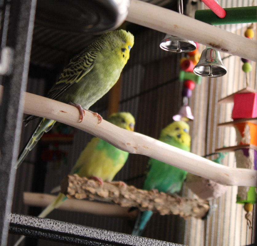 20230702163209 IMG 0199 — Postimages