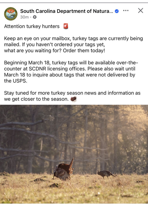 Turkey tags