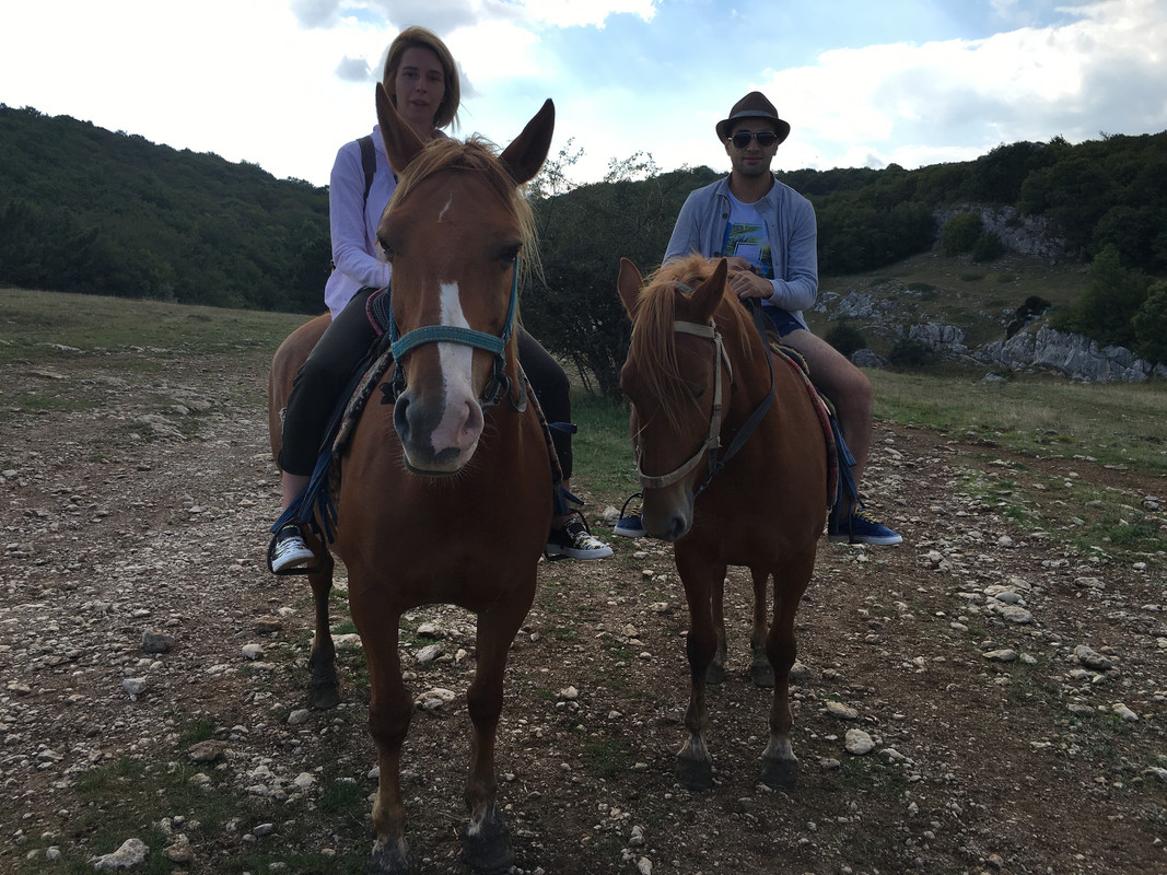 IMG 3102 — Postimages