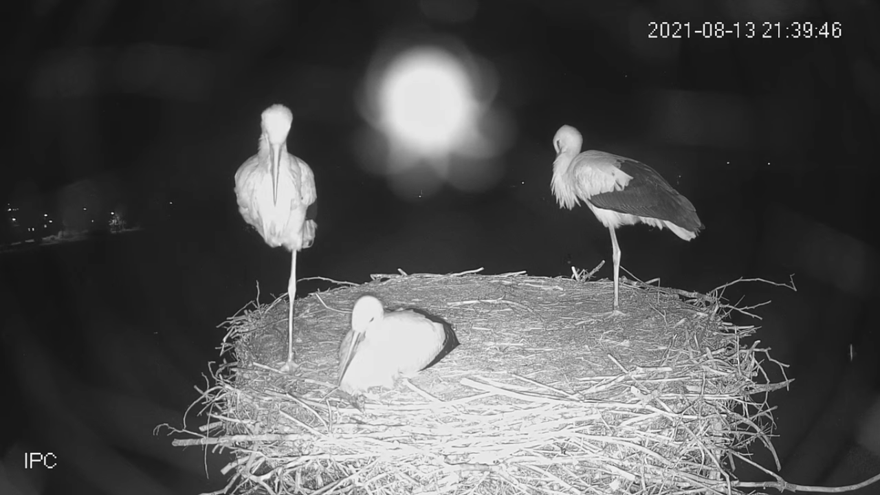 jeszcze razem — Postimages