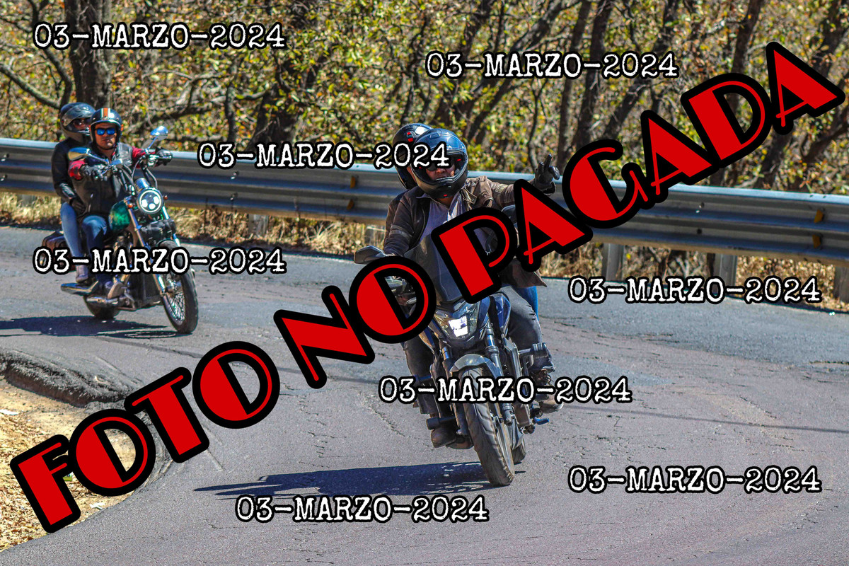 CS 1031 — Postimages