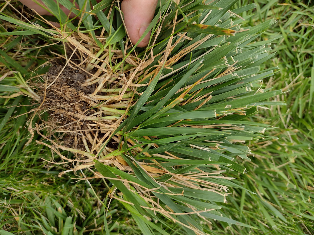 IMG 20220904 164139380 HDR — Postimages