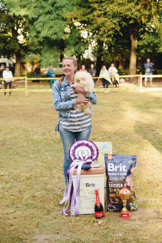 KVO 1216 — Postimages