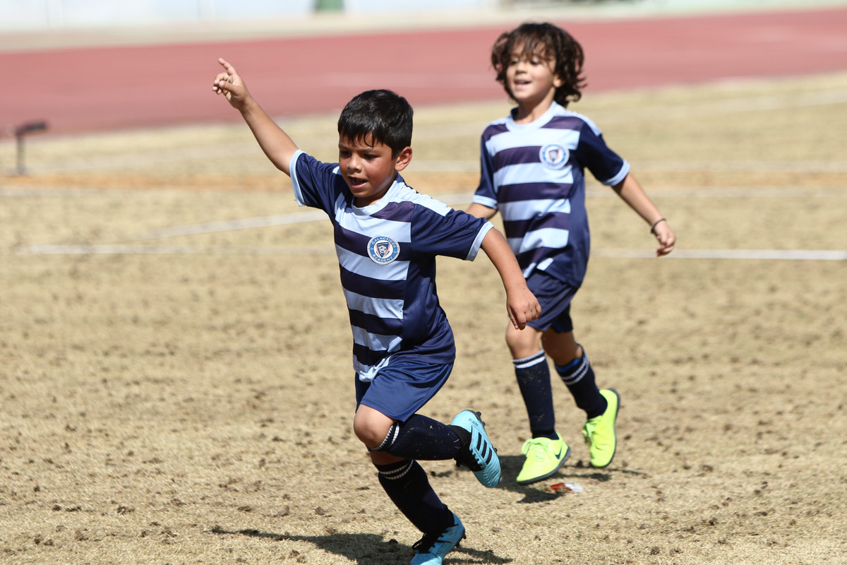 VIK 2146 — Postimages