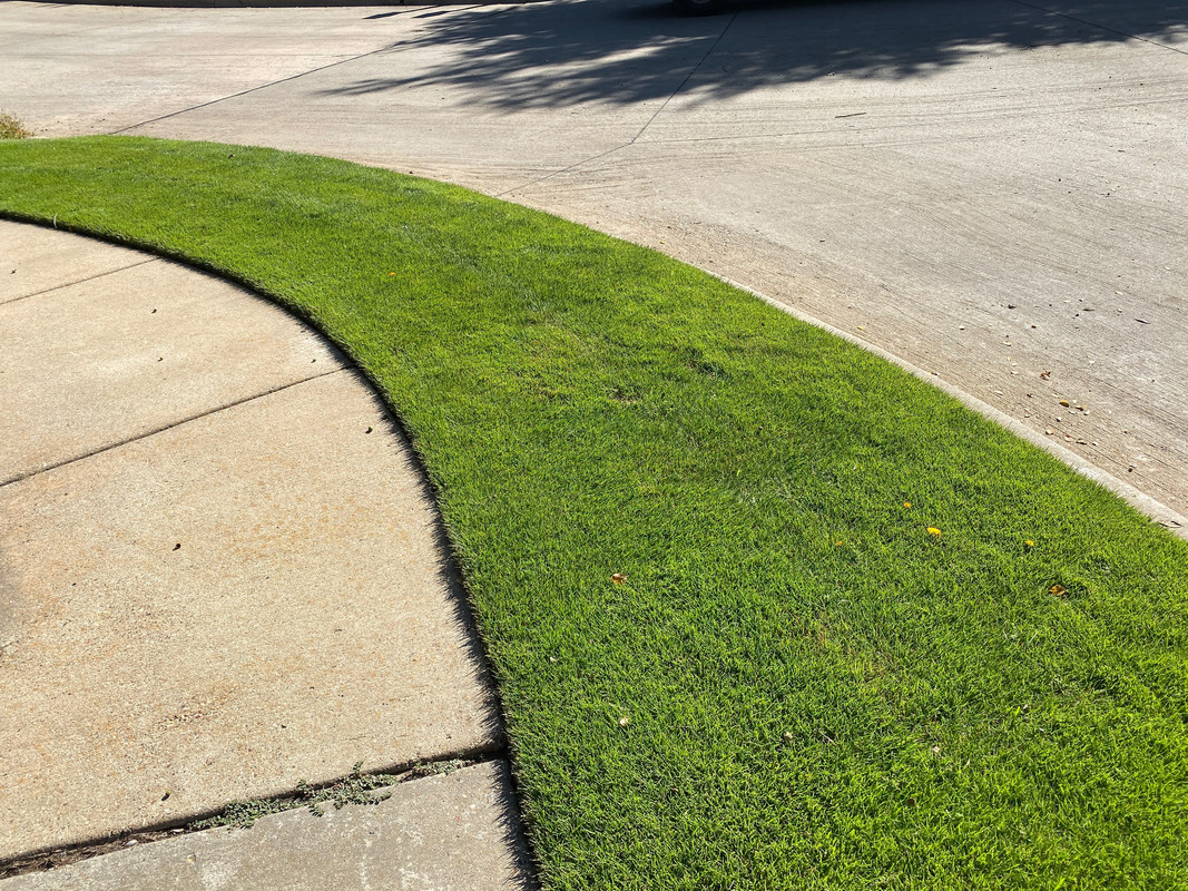 IMG 0183 — Postimages