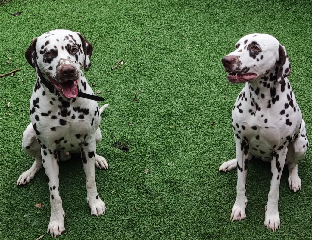 IMG 20230223 145347 — Postimages