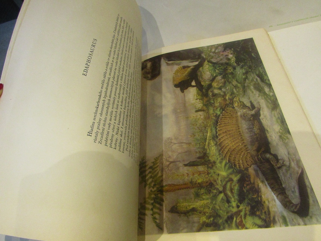 IMG 0632 — Postimages