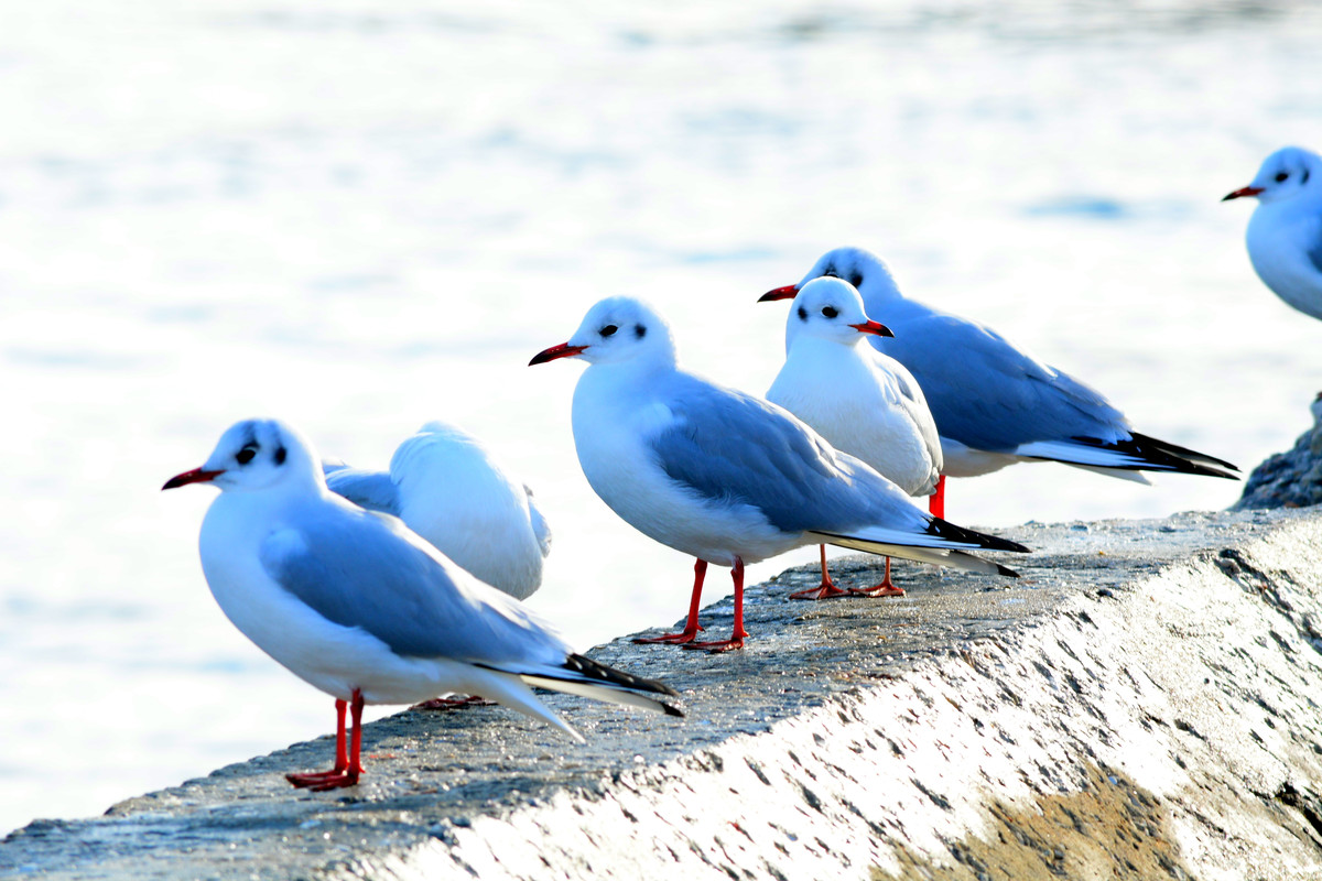 DSC 0616 — копия — Postimages