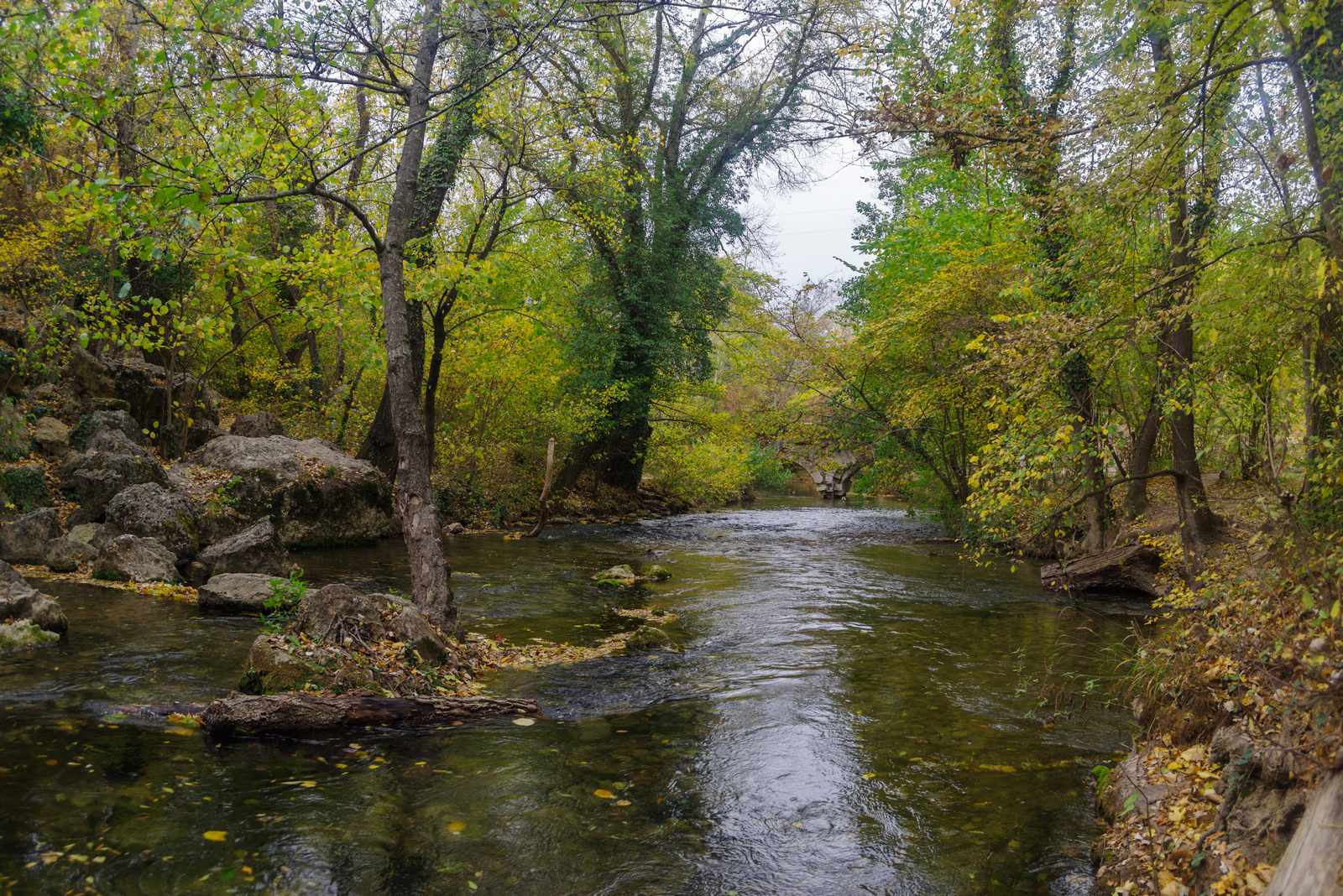 V0008947 1600 — Postimages