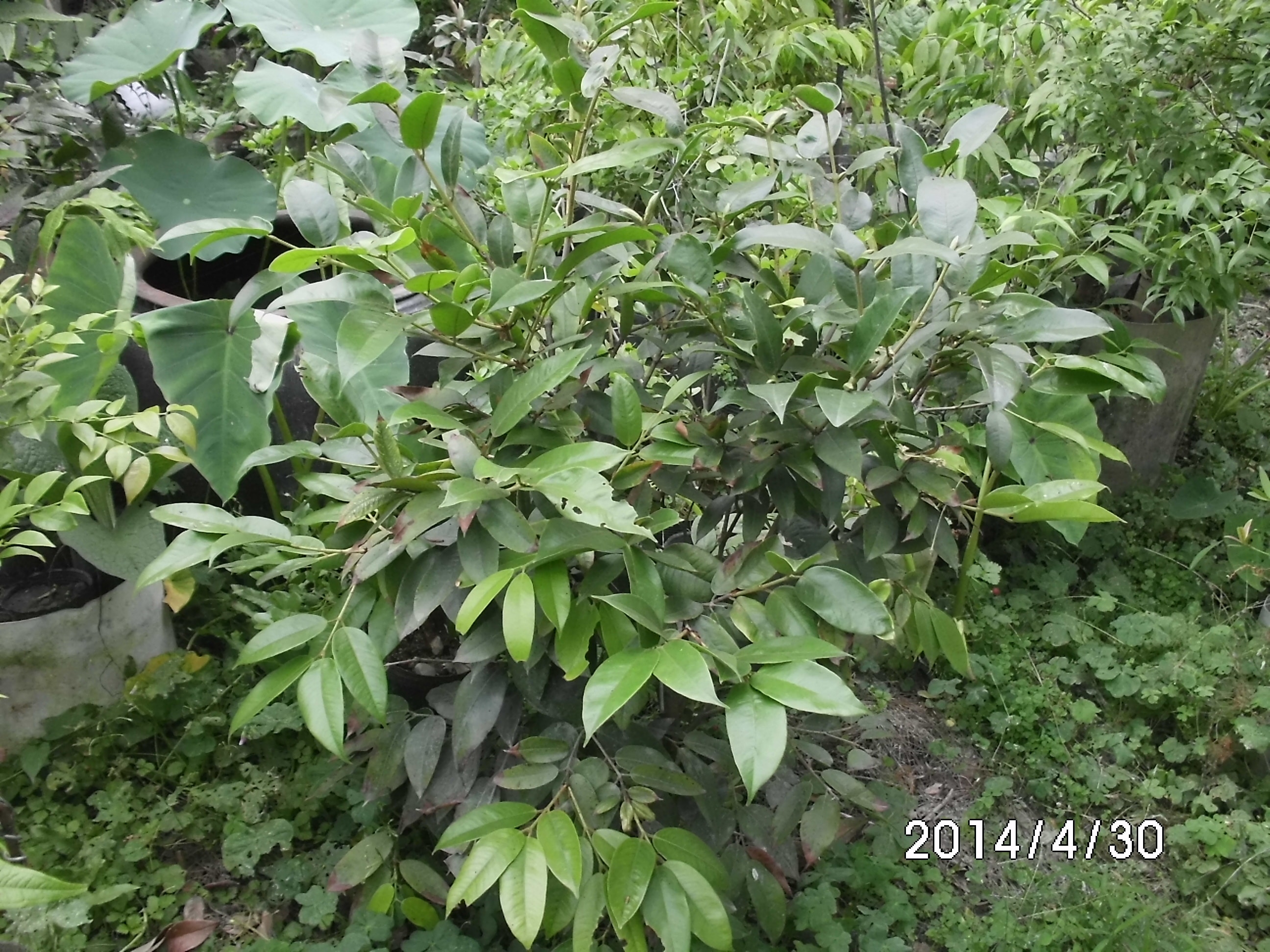 IMG 6227 — Postimages