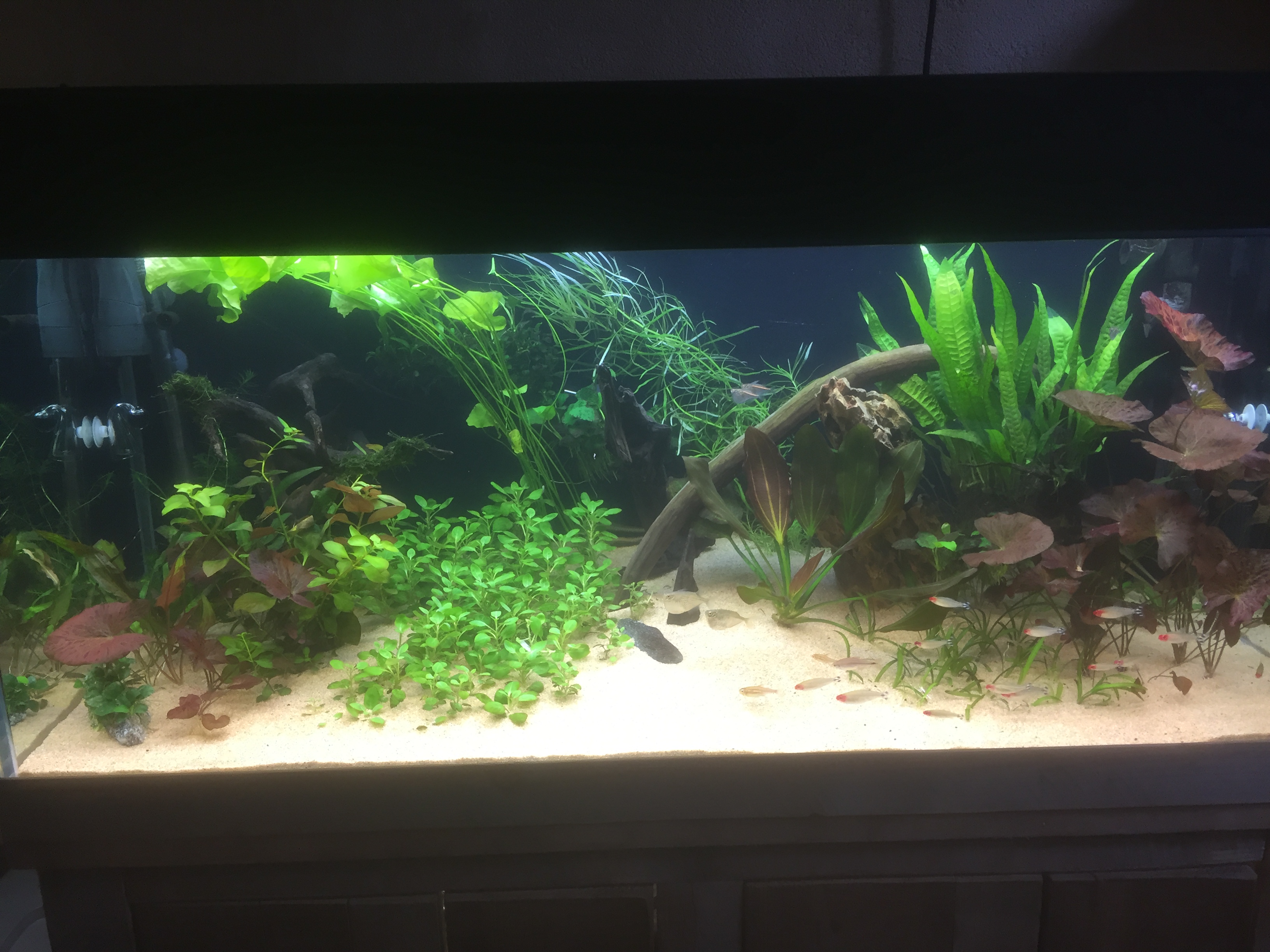 IMG 0442 — Postimages