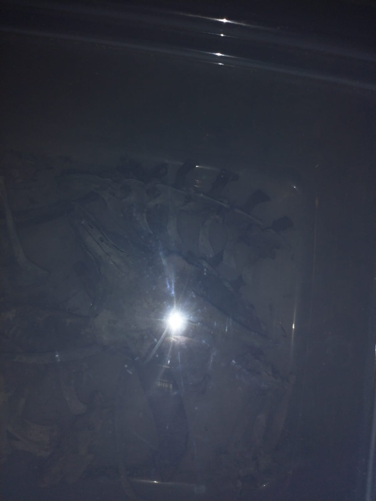 Humorous Bones — Postimages