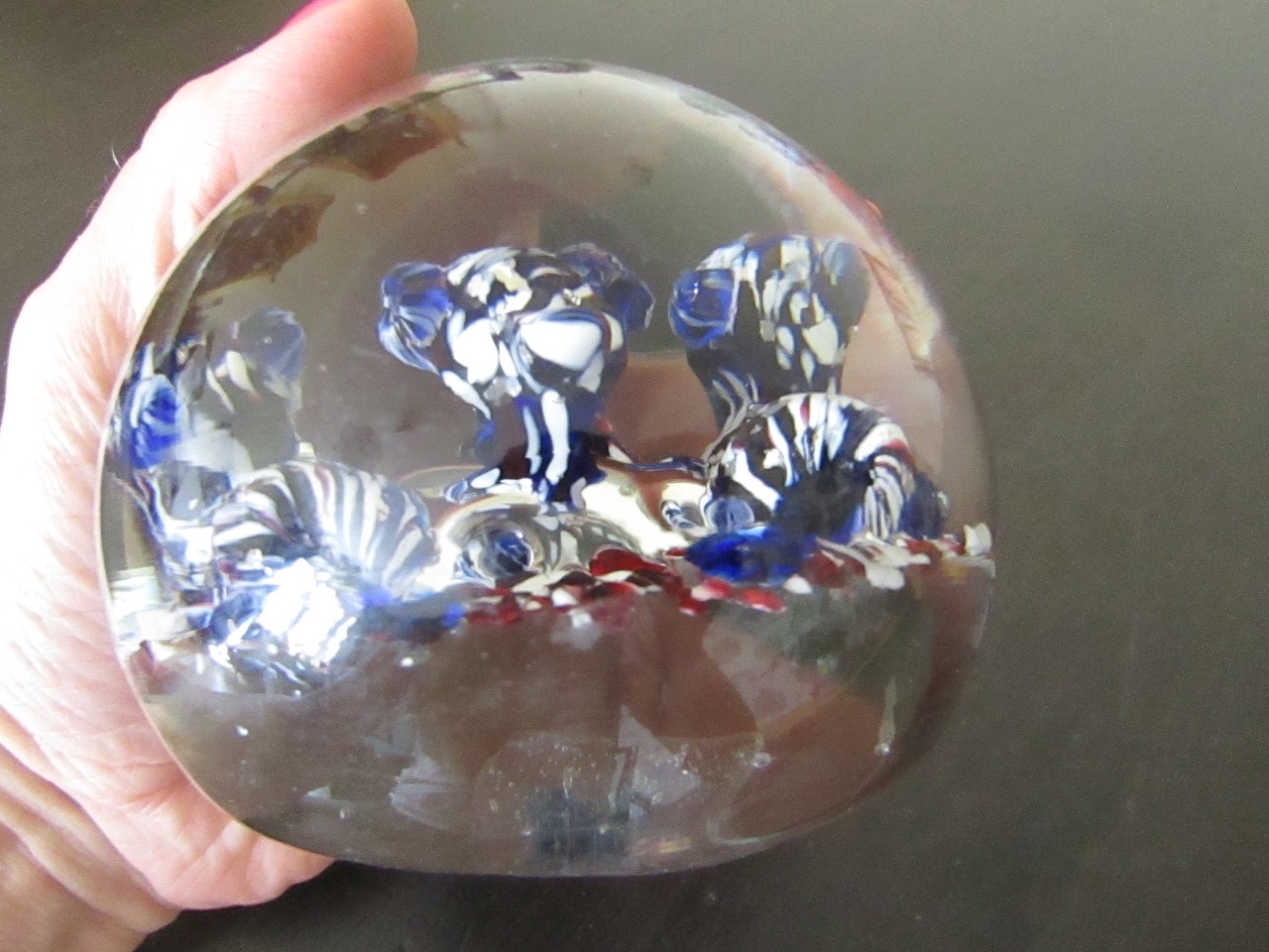 IMG 3176 — Postimages