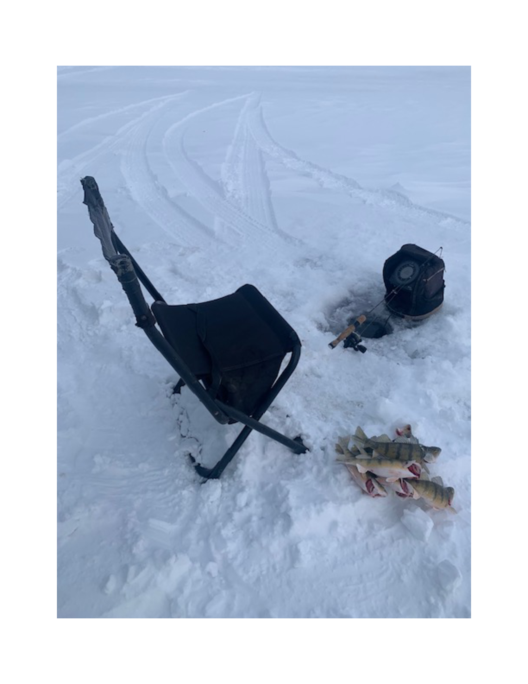 Flash Frozen — Postimages