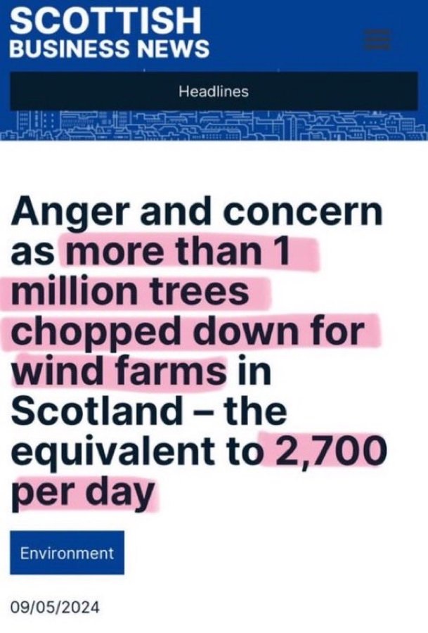 trees — Postimages