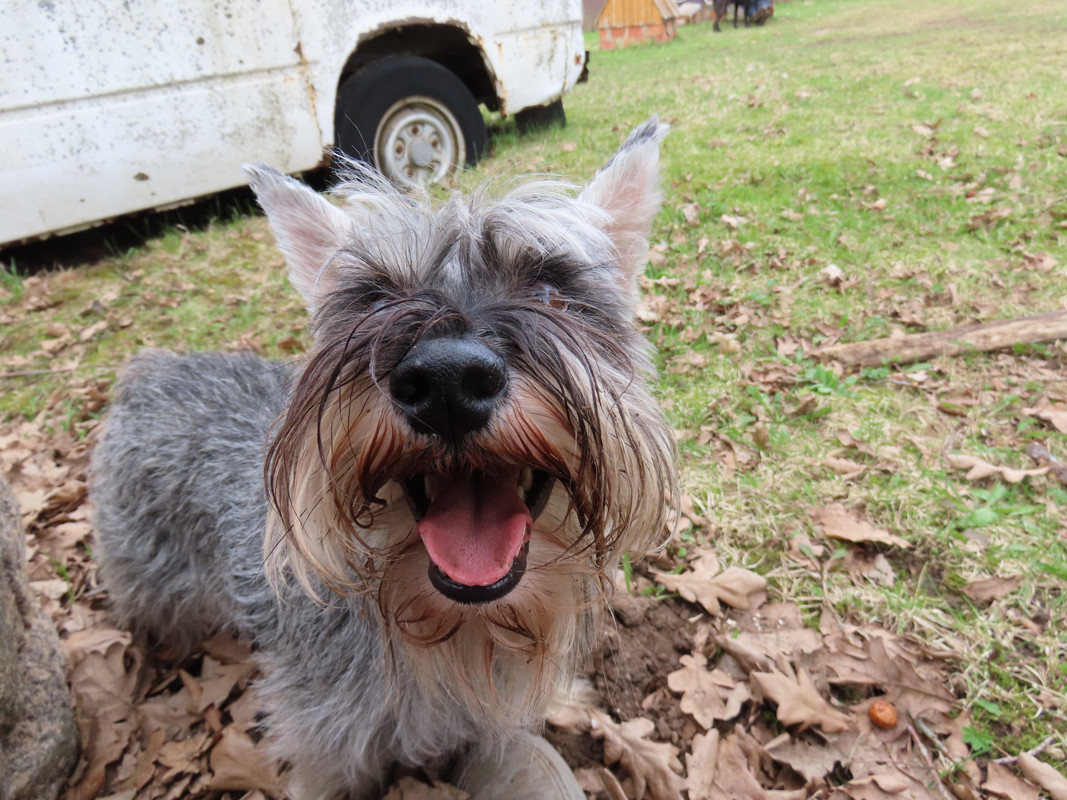 IMG 6269 — Postimages