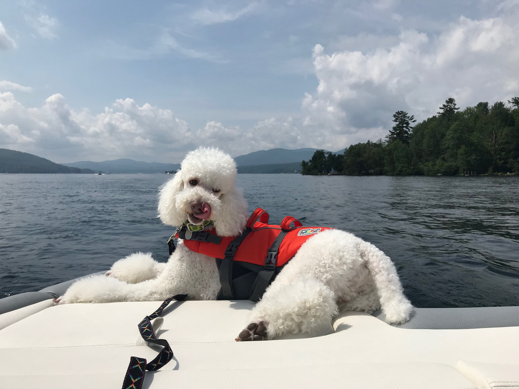 TK9 NY & Dublin3 6 2021 — Postimages