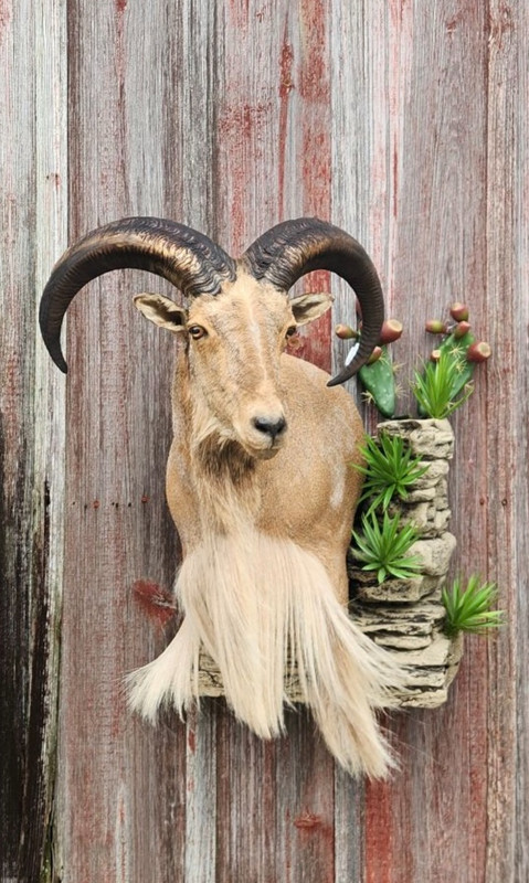 IMG 3549 — Postimages