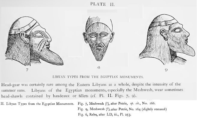EgyptSearch Forums: Were the tamahu really Libyans or were they Europeans?