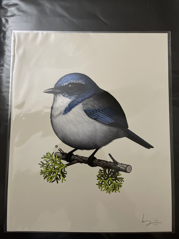 IMG 5561 — Postimages