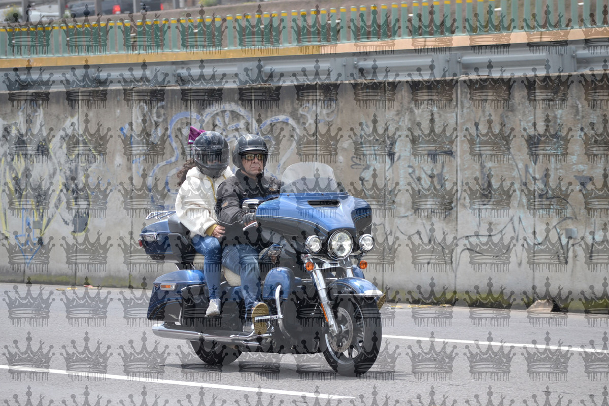 DSC 0488 — Postimages