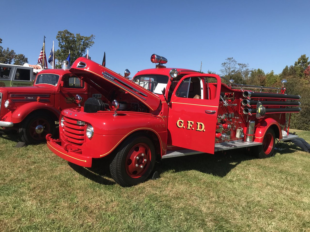 IMG 3337 — Postimages