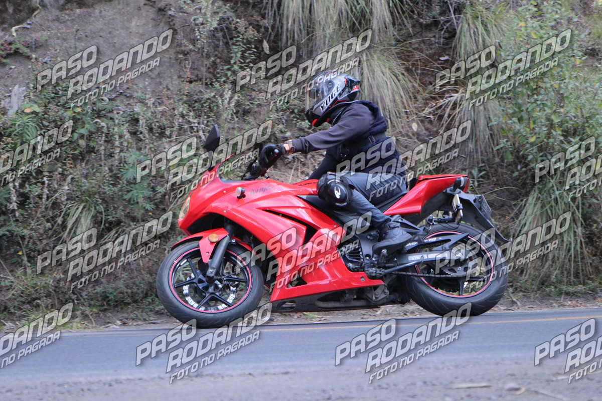 IMG 8622 wm 343397 5 watermarked — Postimages