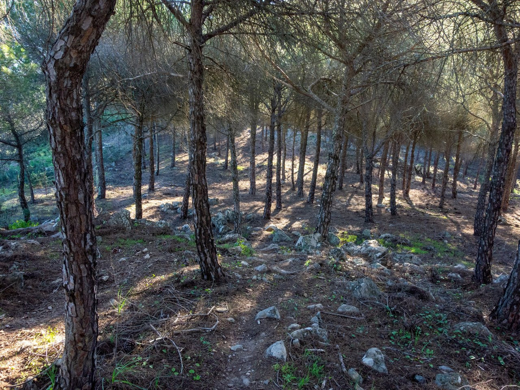 sin ti tulo 07369 — Postimages