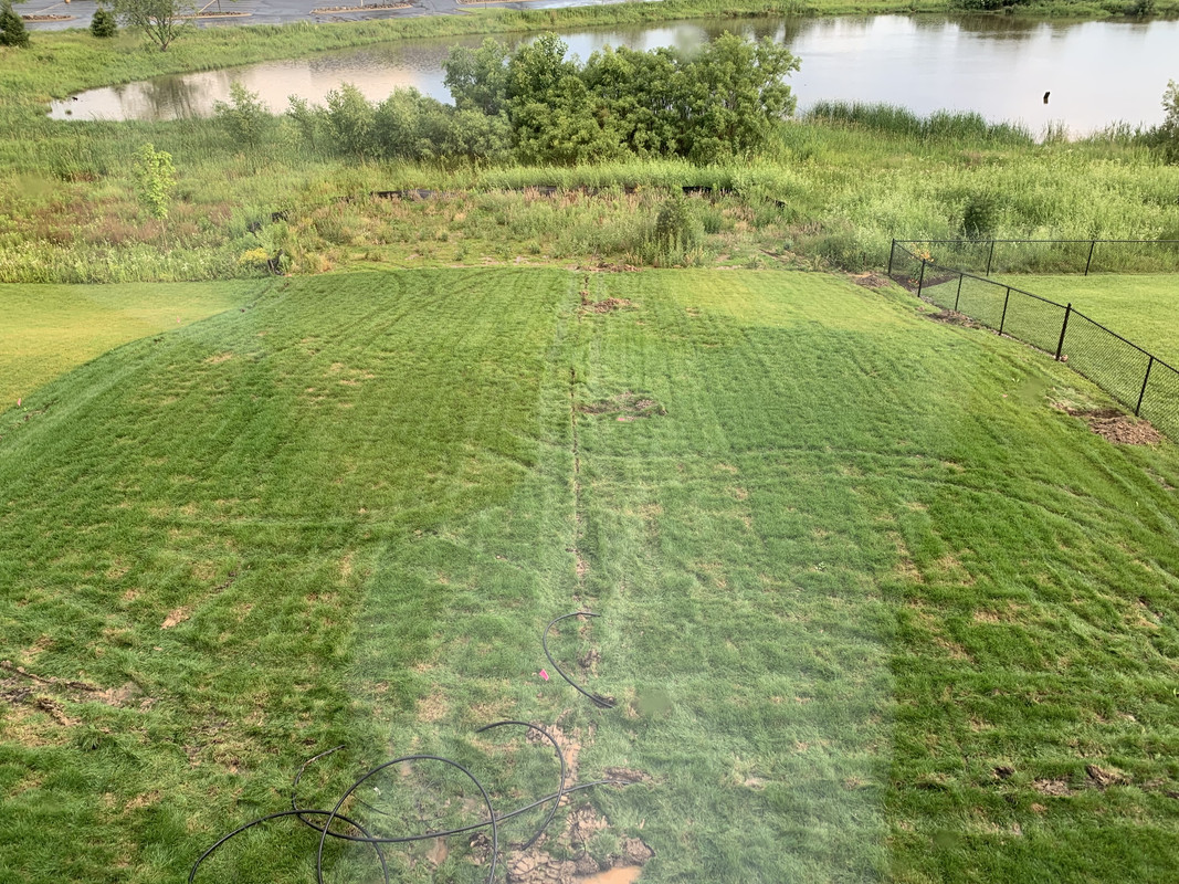 Irrigation company damaged lawn, what to do next? | Lawn Care Forum