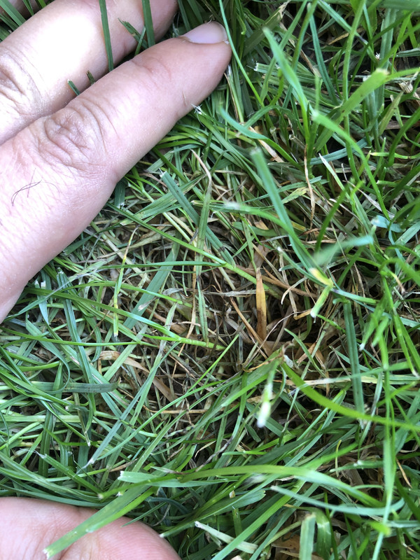 IMG 2275 — Postimages