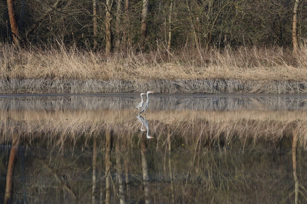 5 E3 A3588 topaz denoise sharpen — Postimages