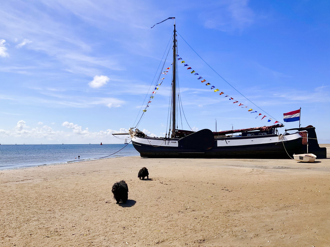 7 E78 F007 Bbdf 4 D33 Bcaf 6 B04 A22 A7 Ffd — Postimages