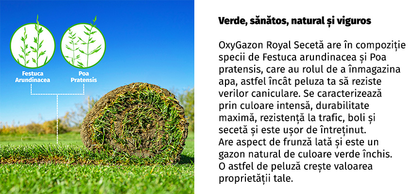 Gazon natural rulat OxyGazon tip Royal Seceta, 1 palet x 40 mp - eMAG.ro