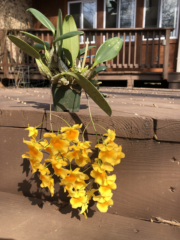 IMG 0678 — Postimages