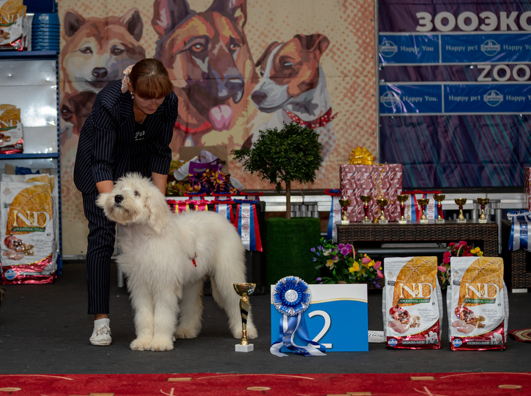 02 2033 — Postimages