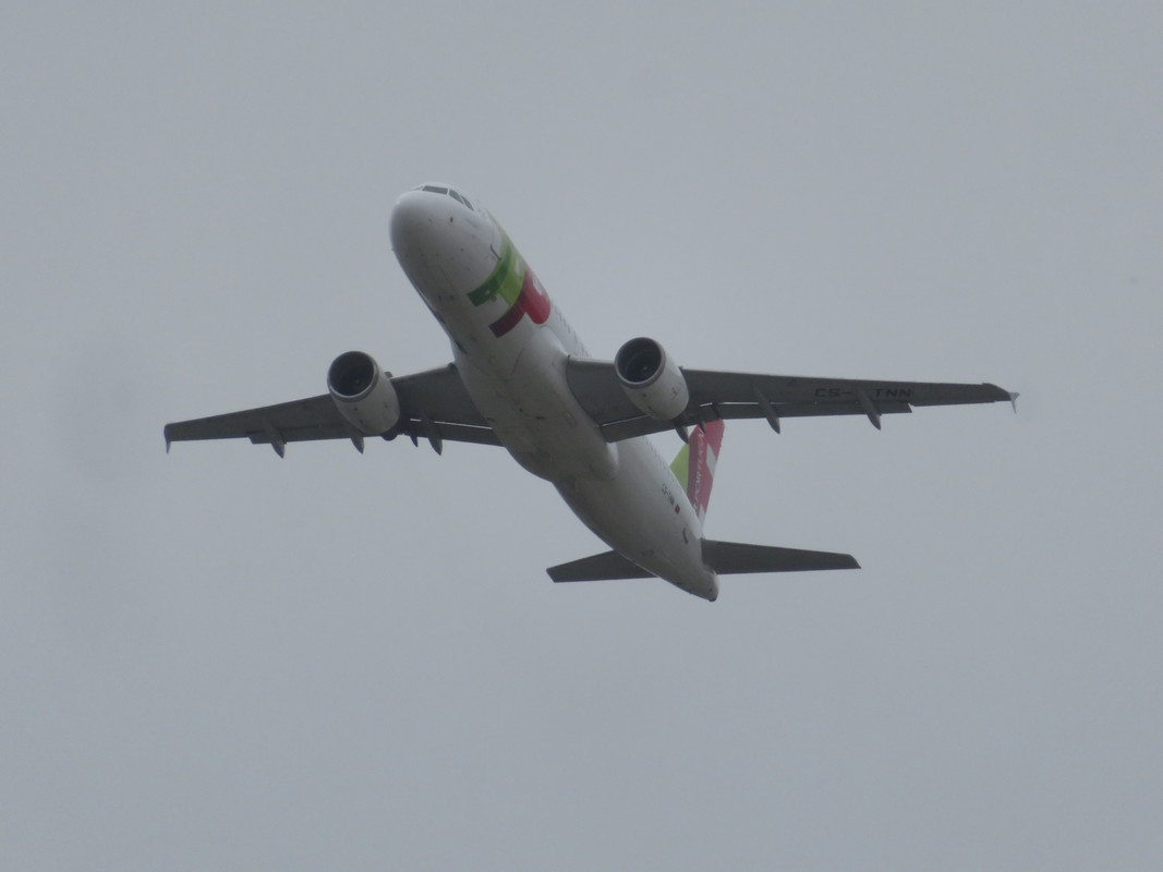 IMG 0367 — Postimages