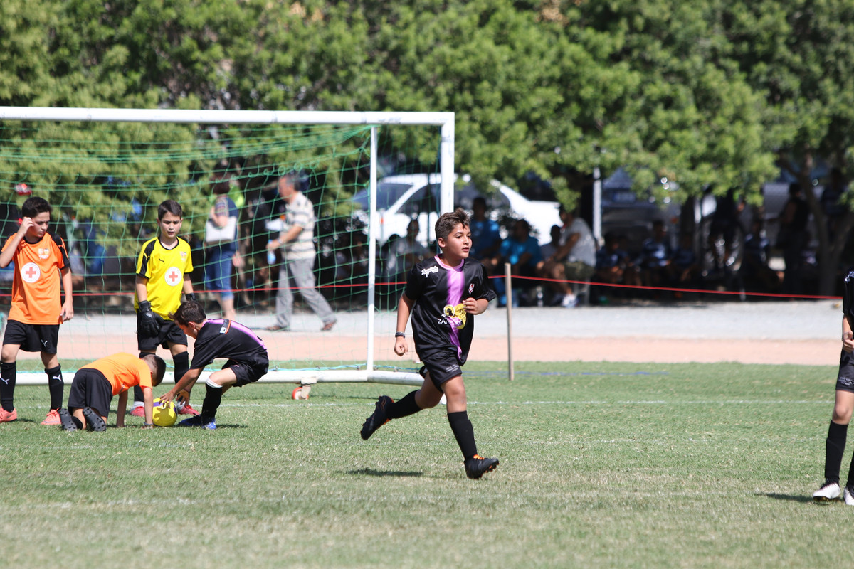 VIK 8825 — Postimages