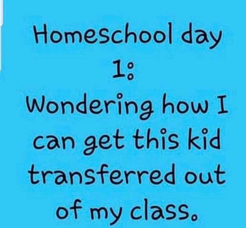 Day 1 Telecommuting ......MEMES - Democratic Underground