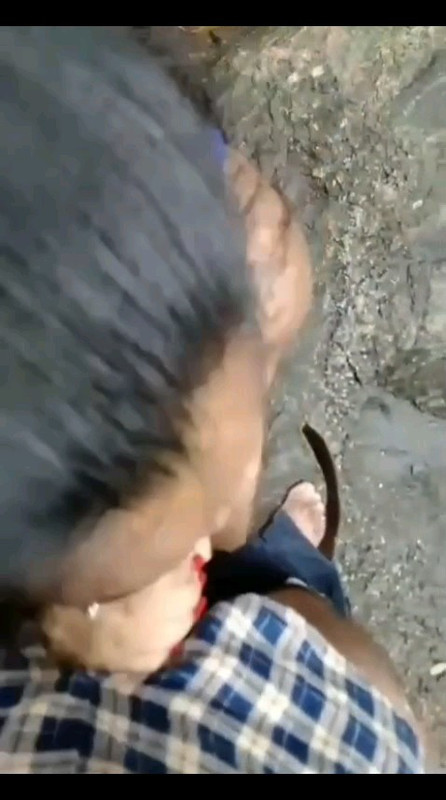 2024 10 20 07 53 57 — Postimages