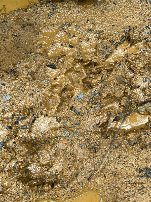 IMG 20230202 WA0005 — Postimages