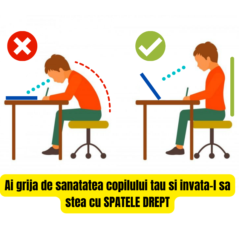 Suport Manuale Scolare, Teme cu Spatele Drept, Albastru - eMAG.ro