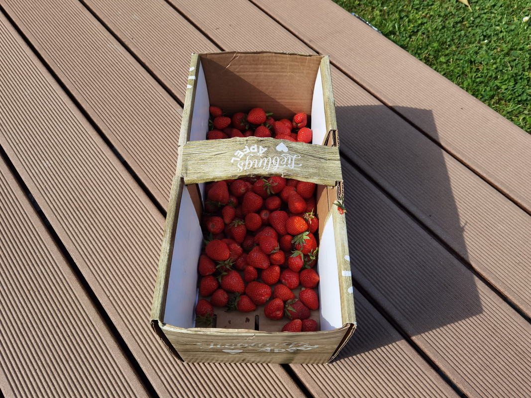 IMG 20220531 093923 — Postimages