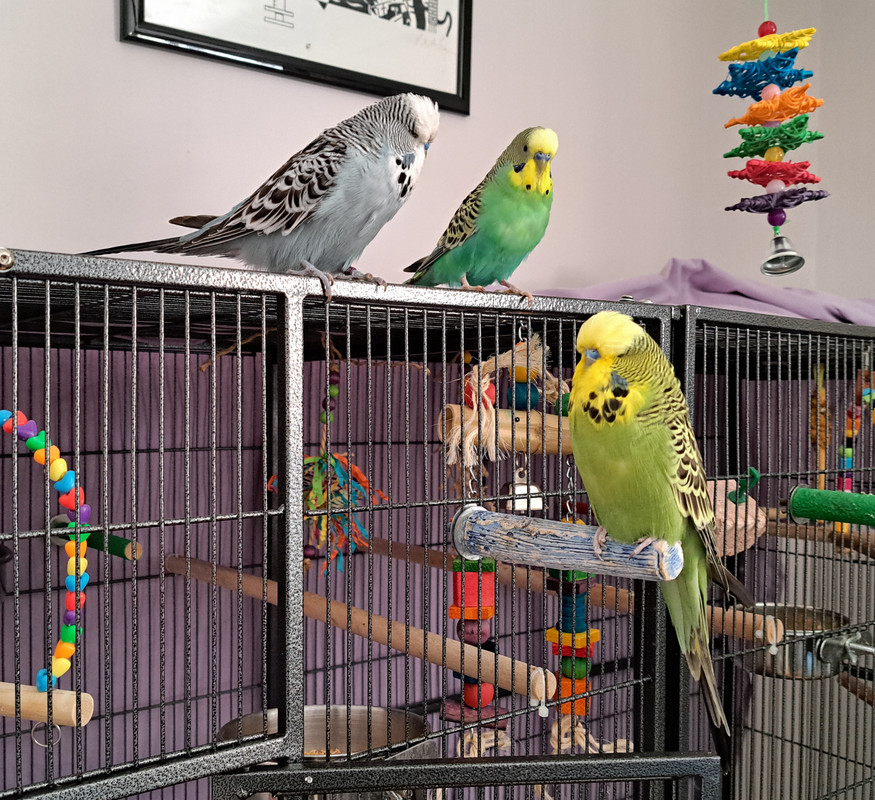 20230206 151041 — Postimages