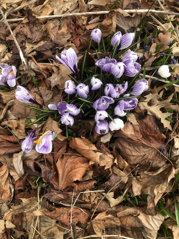 IMG 7579 — Postimages